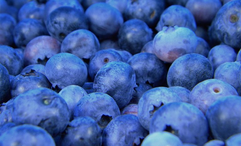Anti-Angiogenesis Foods: How the Foods You Eat Can Fight Cancer – Tina ...